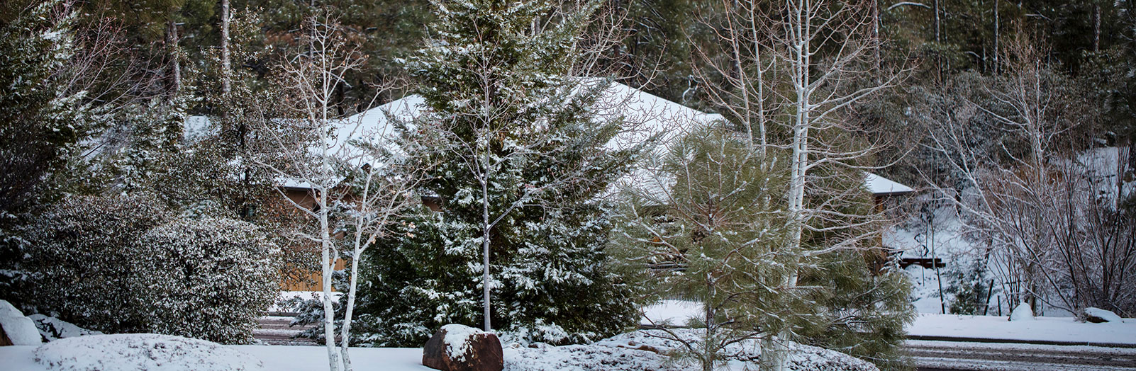 Gallery | Timber Ridge