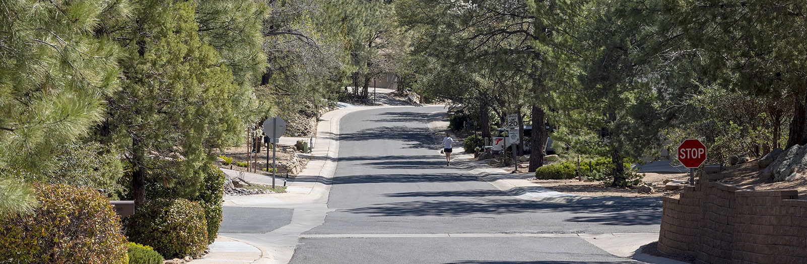 Gallery | Timber Ridge