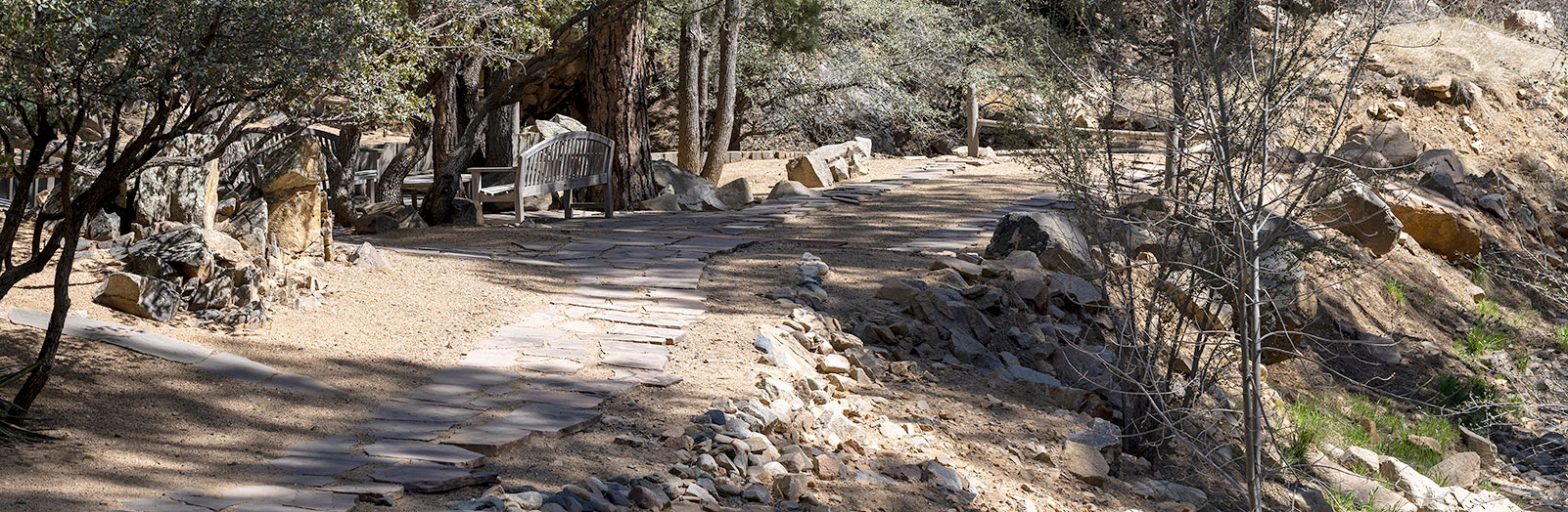 Gallery | Timber Ridge