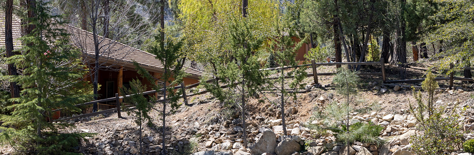 Gallery | Timber Ridge